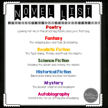 Differentiated Instruction with Novels