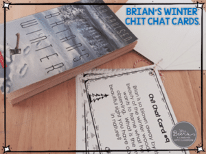 Novel Study Freebie for Brian's Winter