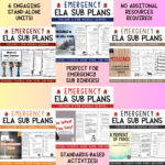 Emergency ELA Sub Plans Bundle - Mrs. Beers Language Arts Classroom