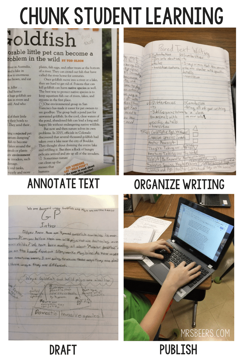 Paired Text Essay Writing Made Easy for BIG KIDS