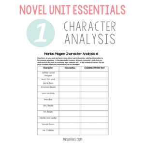 5 Essential Activities for Novel Study Units