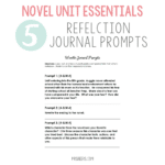 5 Essential Activities for Novel Study Units