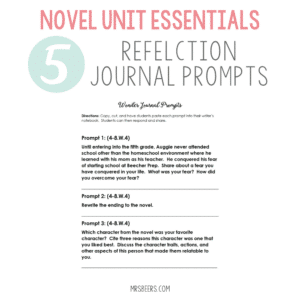 5 Essential Activities for Novel Study Units