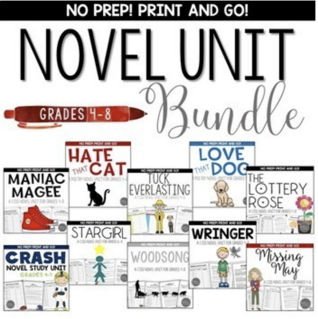 Differentiated Instruction with Novel Units