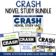 Crash Novel Study Ideas for Teachers