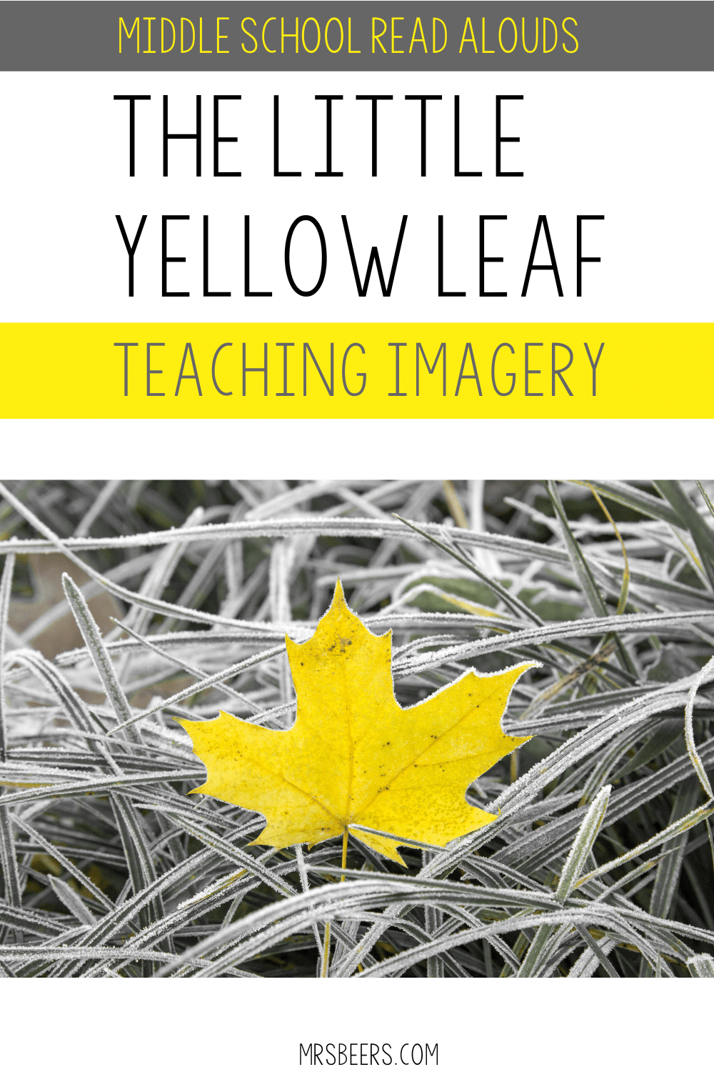 The Little Yellow Leaf - Middle School Read Alouds