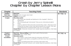 Crash Novel Study Ideas for Teachers