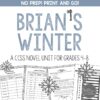 Brian's Winter Novel Study Activities