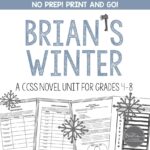 Brian's Winter Novel Study Activities