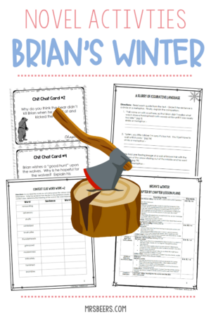 Brian's Winter Novel Study Activities