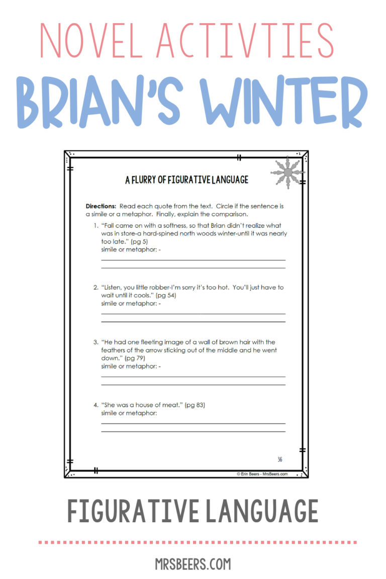 Brian's Winter Novel Study Activities