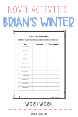 Brian's Winter Novel Study Activities